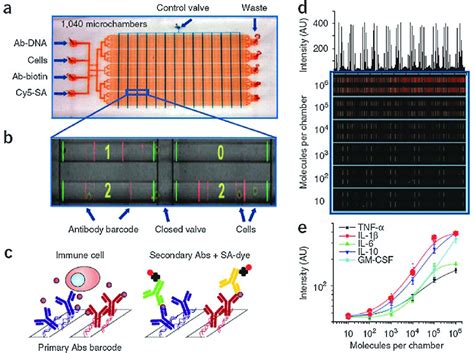 Layout Of The Single Cell Barcode Chip Scbc System A And B Optical Download Scientific