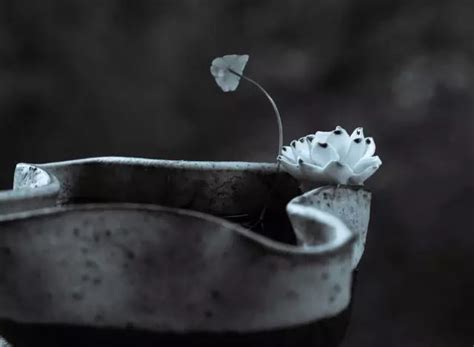 茶忌倒太满，人生亦如是。