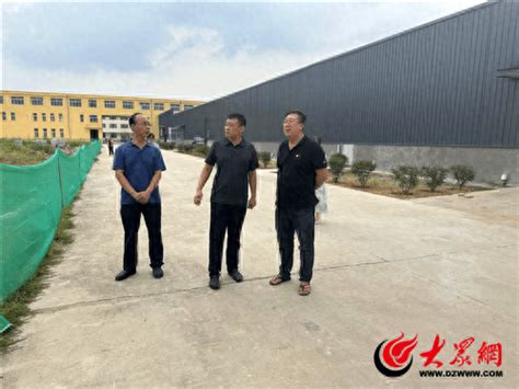 诸城市桃林镇人大代表“三力齐发”助力“五经普”提质增效普查工作宣传