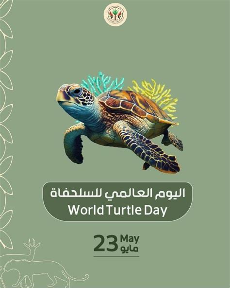 ‏world Turtle Day اليوم العالمي للسلحفاة