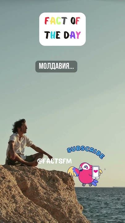 ИНТЕРЕСНЫЙ ФАКТ О КОТОРОМ ТЫ ТОЧНО НЕ ЗНАЛ🔥shorts фактыизжизни удивительныефакты Youtube