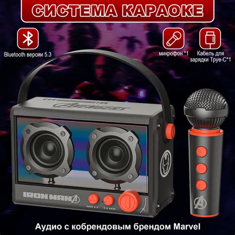 Караоке система для дома с микрофонами,с функцией Bluetooth и USB ...