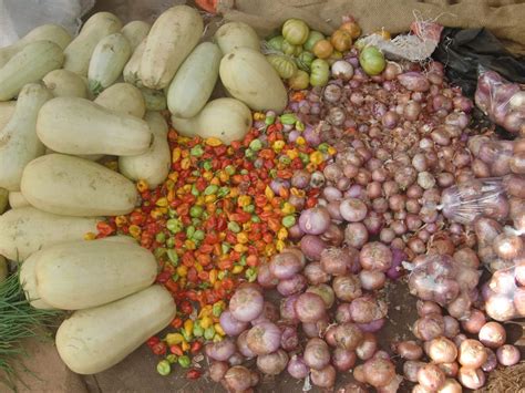 Rapport Accaparements des terres à Madagascar Echos et témoignages