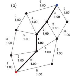Optimised Cable Layouts From A The Milp Algorithm B The Classical Download Scientific