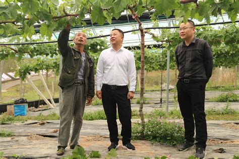 武夷发展集团到建阳区麻沙镇开展 村企牵手促振兴调研走访 公告中心 南平武夷发展集团有限公司