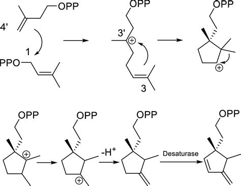 New Monoterpenoid As The Sex Pheromone Of Spanish Populations Of The