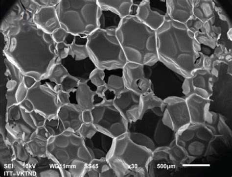 Sem Micrographs Of A Original Pu Foam And Foam Nanocomposites