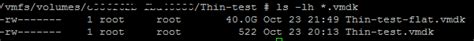 Shrink A Thin Provisioned VMDK Disk Mike Tabor