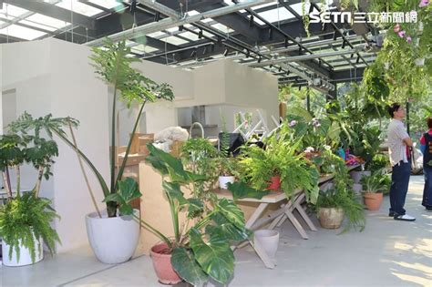 《嗨！營業中2》山區濫墾蓋違建開餐廳情節重大 苗栗縣府再罰26萬 娛樂星聞