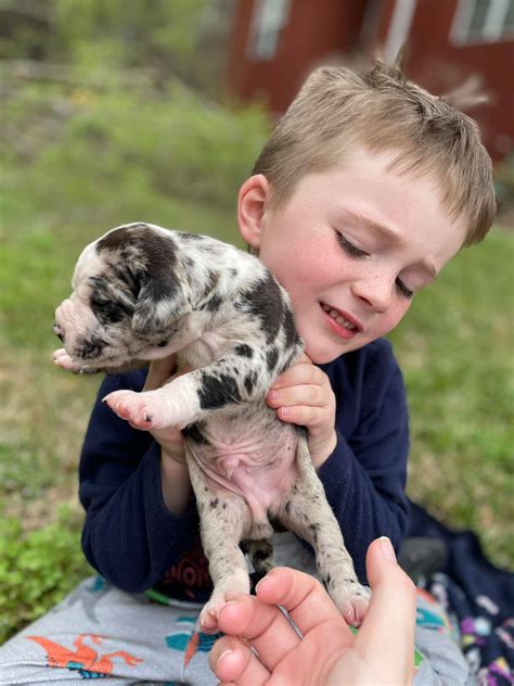 Players Quarters Bullies Gotta Give A Huge S O To Mike And Steff For Handling Business And