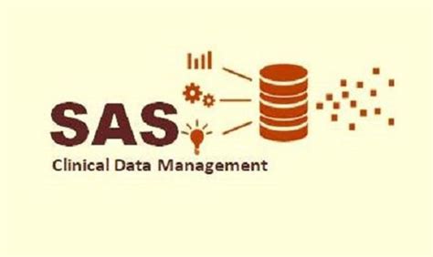 Sas Clinical Data Management Online Training Artofit