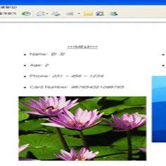 Example Of XML Graph Representation Download Scientific Diagram