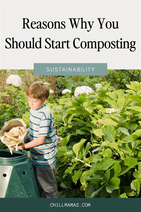 Reasons Why You Should Start Composting Chill Mamas