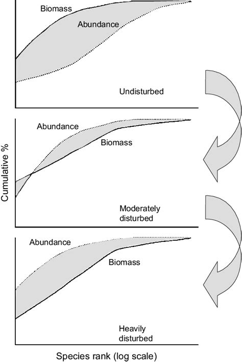 Theoretical Abc Curves Showing The Pattern In The Abundance And Biomass
