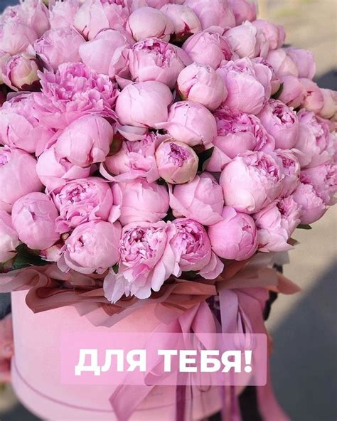 Пин от пользователя Алена Мисько на доске С днем рождения Забавные