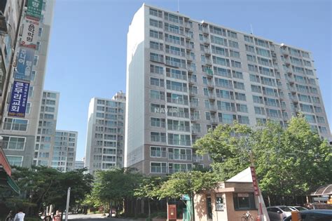 파주운정교하매매동패동 아파트 추천급매 3억7000만 책향기마을10단지동문굿모닝힐 네이버 블로그