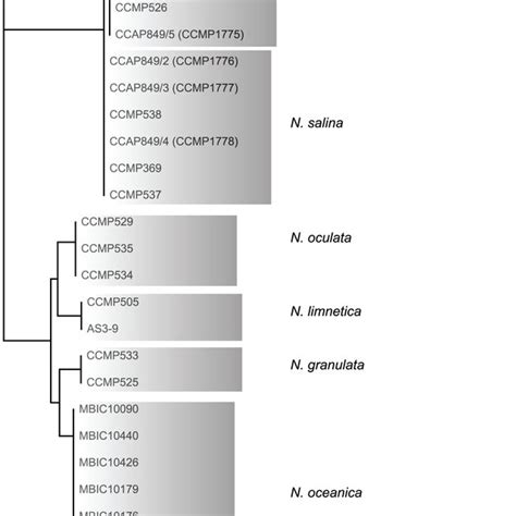 PDF Genome Functional Gene Annotation And Nuclear Transformation Of The Heterokont