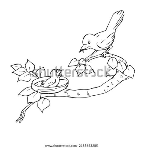 귀여운 만화 날아다니는 새의 색칠 페이지 스톡 벡터로열티 프리 2185663285 Shutterstock