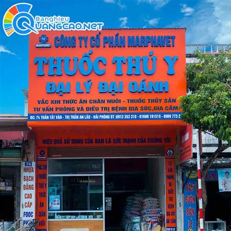 15 Mẫu Bảng Hiệu Thuốc Thú Y Đẹp Chất Lượng Thu Hút