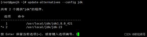 Linux 多个jdk版本切换linux切换jdk版本 Csdn博客