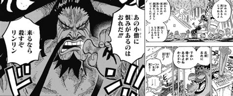 【考察】ビッグマムとカイドウの関係性～2人の四皇の正体とモデルとは？ ワンピース極限考察 Ohara