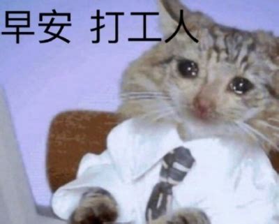 2022梗大全 各种梗合集汇总 星芒手游网