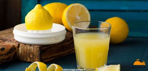 Les bienfaits du jus de citron à absolument connaitre en 2025