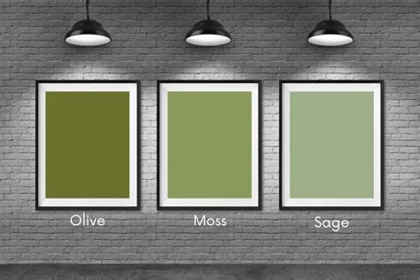 Olive Vs Moss Vs Sage Shades Of Green Explained