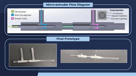 Micro Extruder For Processing Microbioreactors Team 1 Lf Showcase Sp24