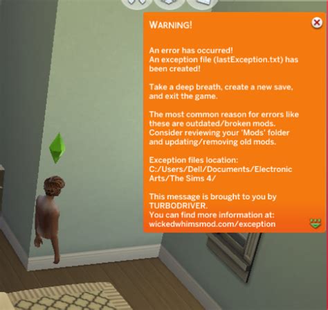Sims Technical Problem The Sims Technical Support LoversLab