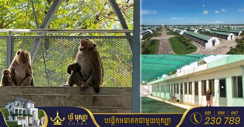 ក្រសួងកសិកម្ម សម្តែងការមិនពេញចិត្តជុំវិញការឃាត់ខ្លួនប្រធាននាយកដ្ឋានសត្វព្រៃ