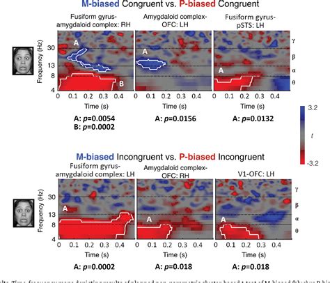 Figure 1 From Magnocellular And Parvocellular Pathway Contributions To Facial Threat Cue