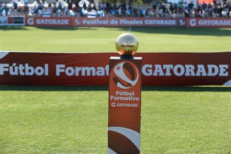 Dos Categorías Serían Eliminadas Los Cambios Que Propone La Anfp Para
