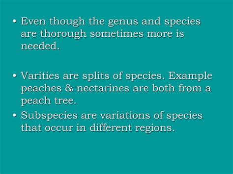 What Is Taxonomy Classification 17 Ppt