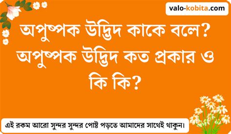 অপুষ্পক উদ্ভিদ কাকে বলে অপুষ্পক উদ্ভিদ কত প্রকার ও কি কি বিস্তারিত