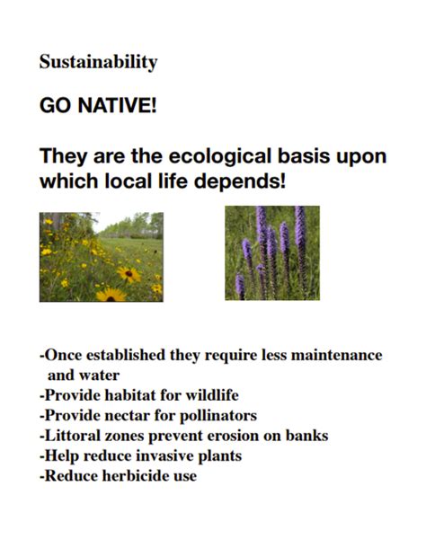 Go Native Villagewalk Garden Club Of Bonita Springs