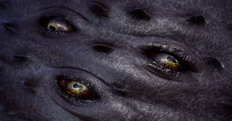 Working On Animated Organic Material In Substance Designer