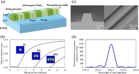 a schematic view of the fabricated ppln waveguide b modal