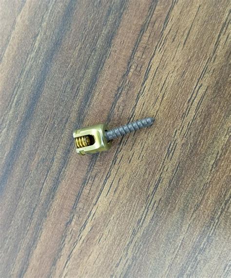 Titanium Lateral Mass Polyaxial Screw At Rs 1500piece In Vadodara Id