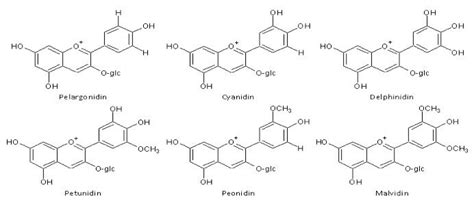 General Chemical Structure Of Anthocyanidins A And The Most Common