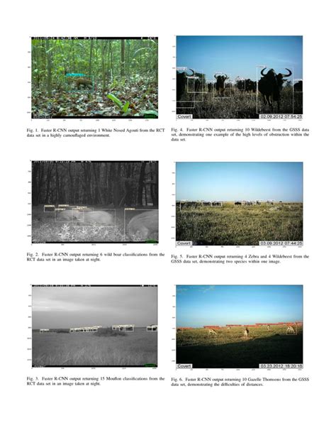 deep learning object detection methods for ecological camera trap data