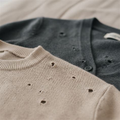 Clothes Moth And Indian Meal Moth Anatis Bioprotection