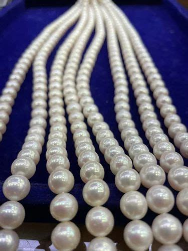 Cream Round Freshwater Pearl Strings For Jewelry Size 9 5mm At ₹ 50