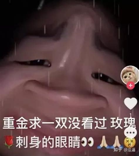 玫瑰刺身我看yue了 知乎