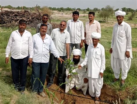 थार में पौधरोपण का आगाज मानसून में रोपित होंगे हजारों पौधे Patrika News