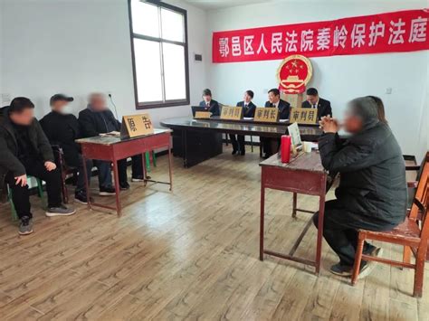 为青山添彩 为绿水驻颜丨秦岭生态司法卫士·在行动澎湃号·政务澎湃新闻 The Paper