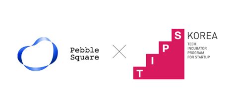 고성능·초저전력 Ai칩 개발 페블스퀘어 딥테크 팁스 선정 와우테일