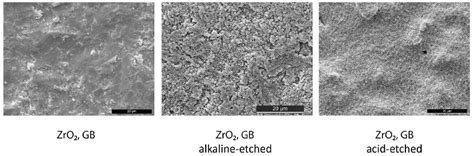 Scanning Electron Microscope Pictures Of The Zirconia Discs Download