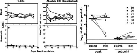 Cd4 ϩ T Cell Counts And Viral Loads In Blood And Breast Milk Of Agms
