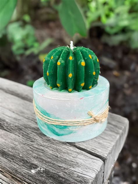 Vela De Cactus Kokasu